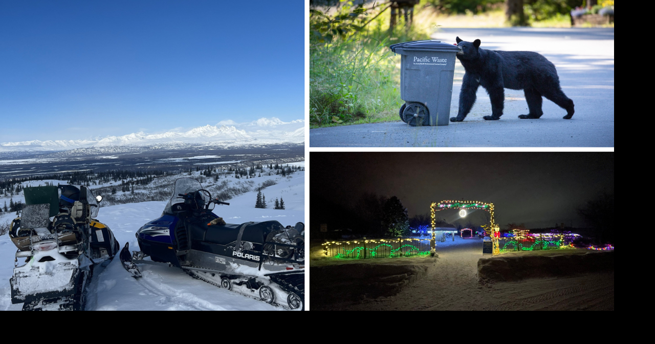 AROUND ALASKA: Bear Art, Denali Snowmachines, and Arctic Lights ...