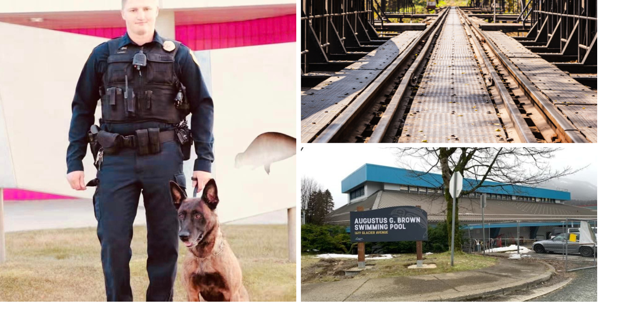AROUND ALASKA: Replacing a Bridge, Fallen K9, and Almost Pool Time ...