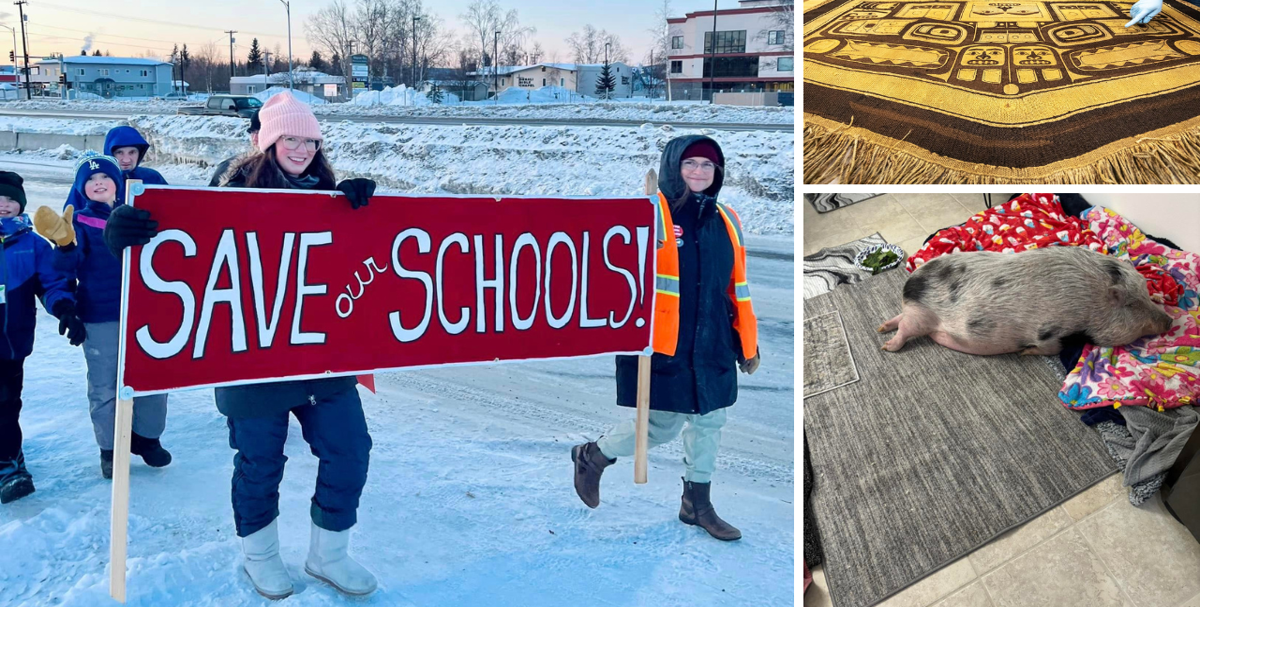 AROUND ALASKA: Save Our Schools, Robe Returns Home, and Piggies Need ...
