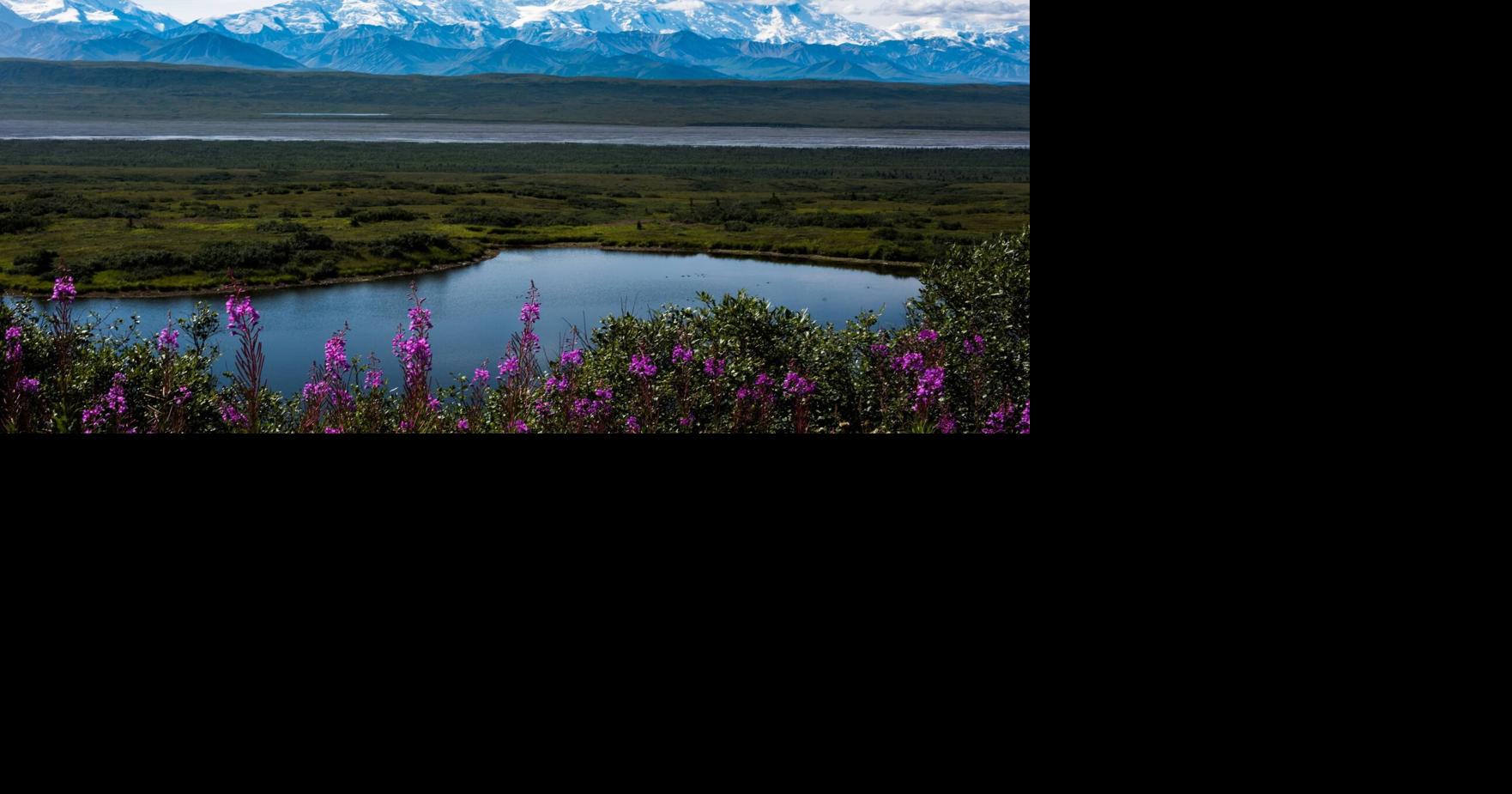 Campsites and trails are back open at Denali National Park and Preserve ...