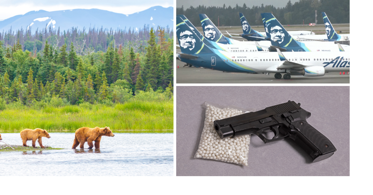 Around Alaska: Gun in school, new rewards program, and get your park ...
