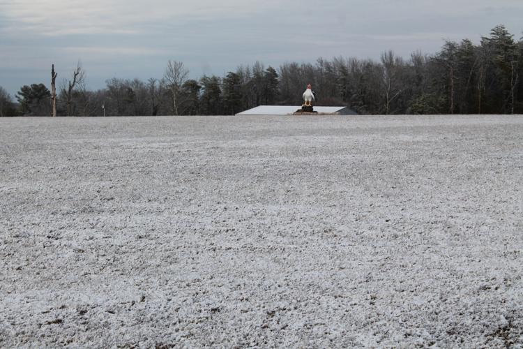 Light snow coats Halifax County as forecasters eye ‘impactful’ system ...