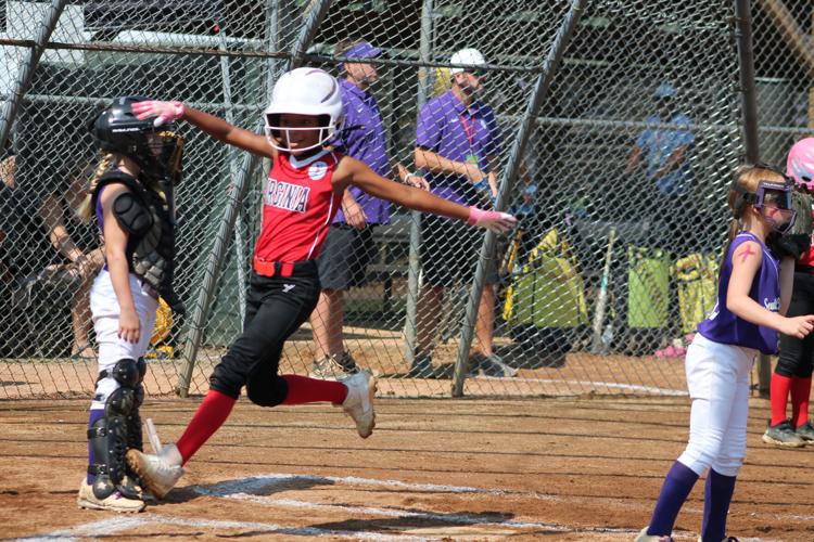 Halifax County bows out of World Series | Local Sports | yourgv.com