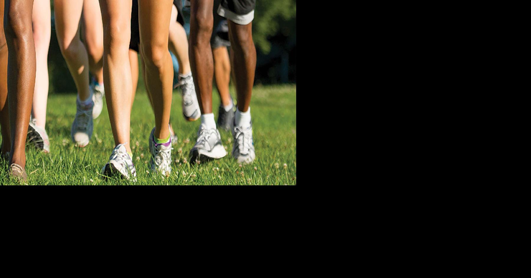 Comets cross country teams finish second overall | Prep Sports | yourgv.com