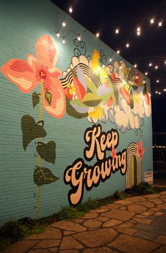 Homegrown talent: Artist tapped for ongoing downtown Halifax visual ...