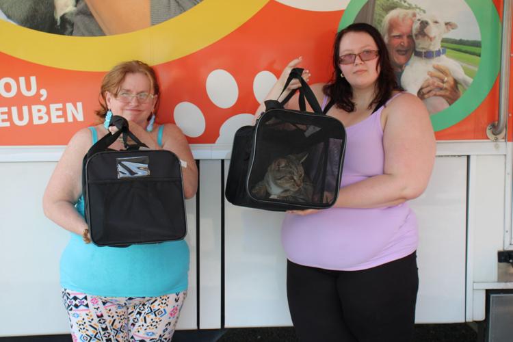 Spay and neuter event held in Halifax County | Local News | yourgv.com