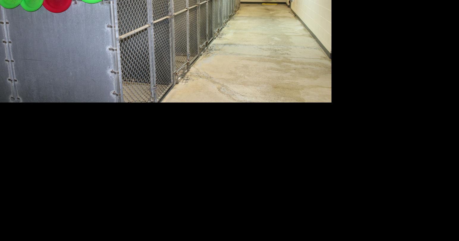 Halifax County Animal Shelter getting upgrade | Local News | yourgv.com