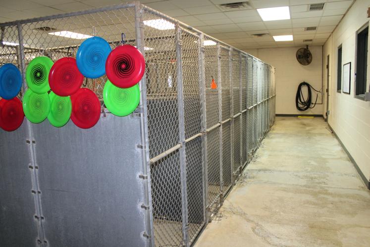 Halifax County Animal Shelter getting upgrade | Local News | yourgv.com