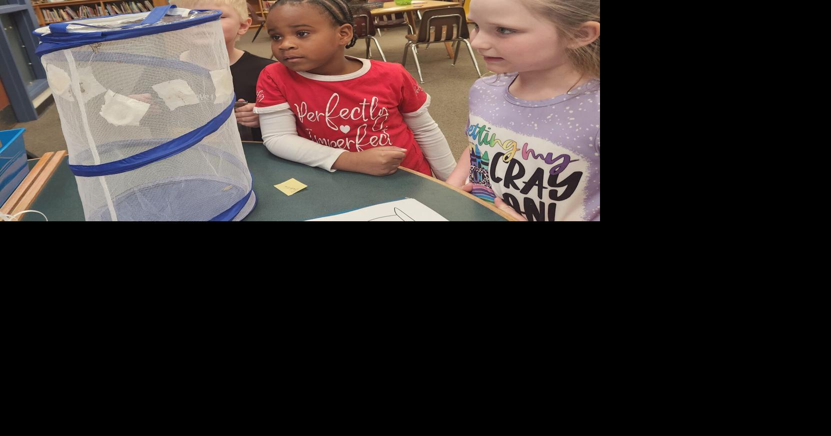 PHOTOS: Scottsburg students observe the Life cycle of a butterfly ...