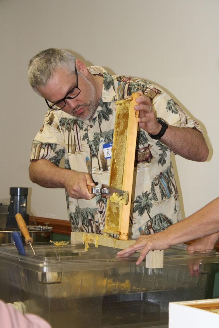 Despite challenges buzzing, interest increasing in beekeeping around ...