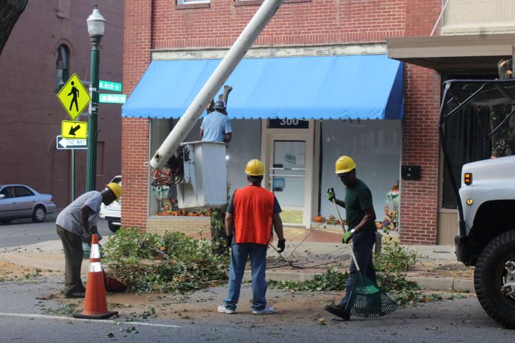 Making the cut: South Boston trees coming down | Town of South Boston ...