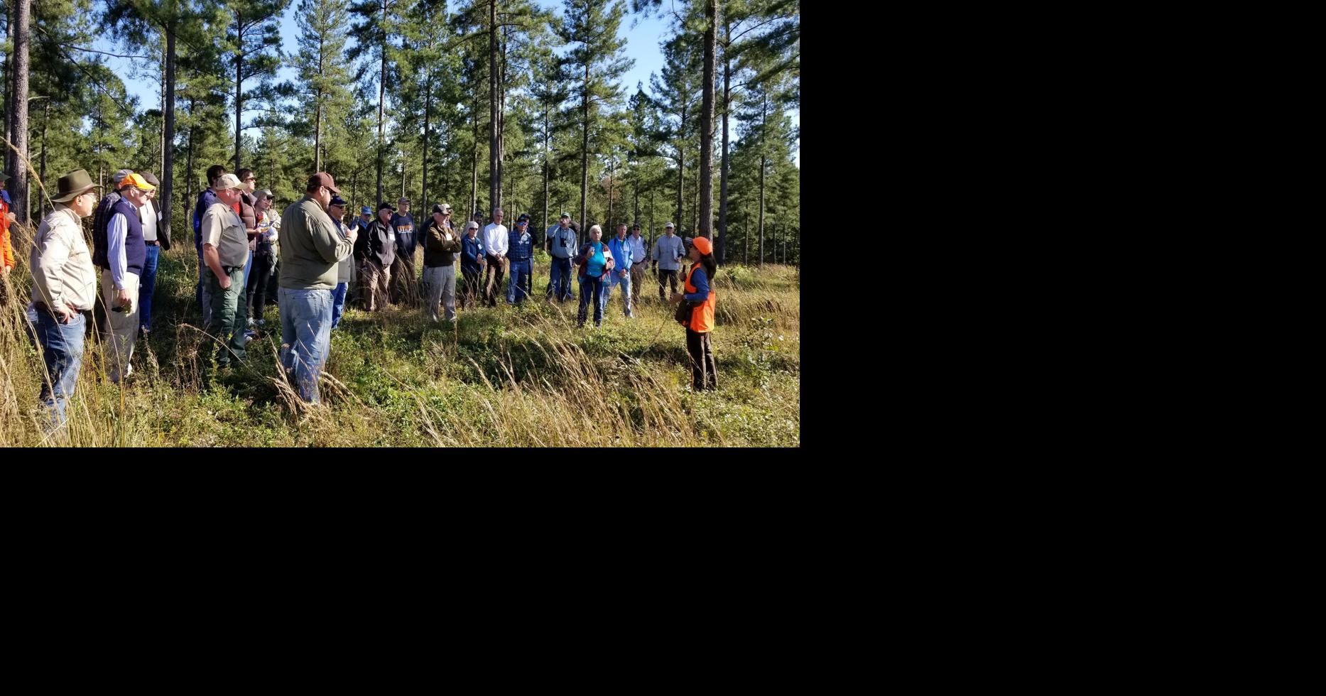 Fall Forestry and Wildlife Bus Tour set Oct. 17 | Local News | yourgv.com