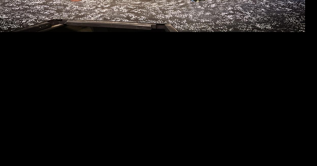 Recent musical was a Brogden family affair | County Life | yourgv.com