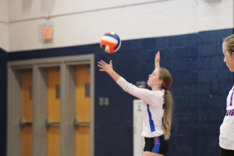 Lions advance to district tournament championship with win over Dan ...