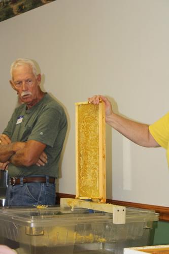 Despite challenges buzzing, interest increasing in beekeeping around ...