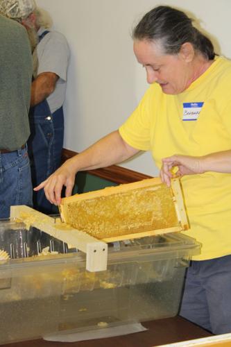Despite challenges buzzing, interest increasing in beekeeping around ...