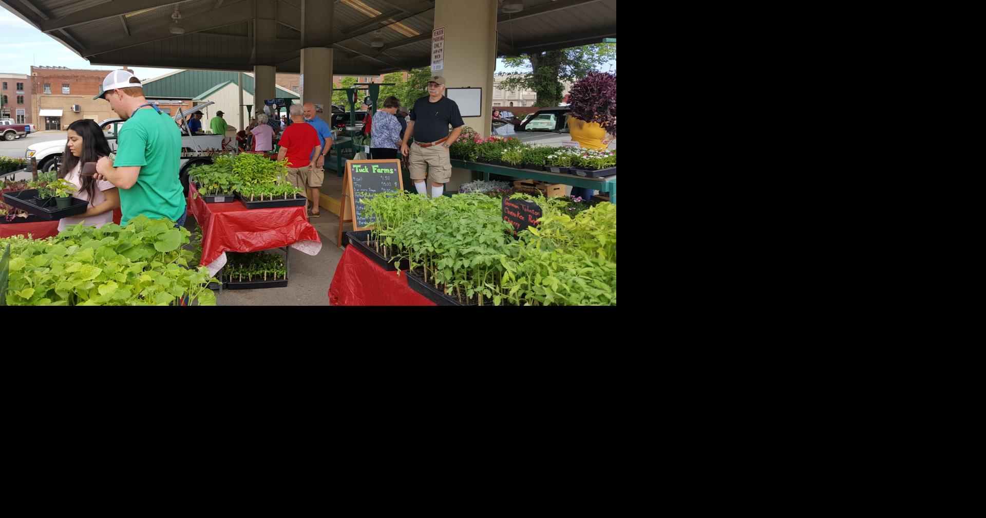 Downtown South Boston Farmers Market vendors celebrate a new season ...