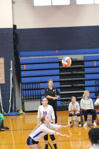 Lions advance to district tournament championship with win over Dan ...
