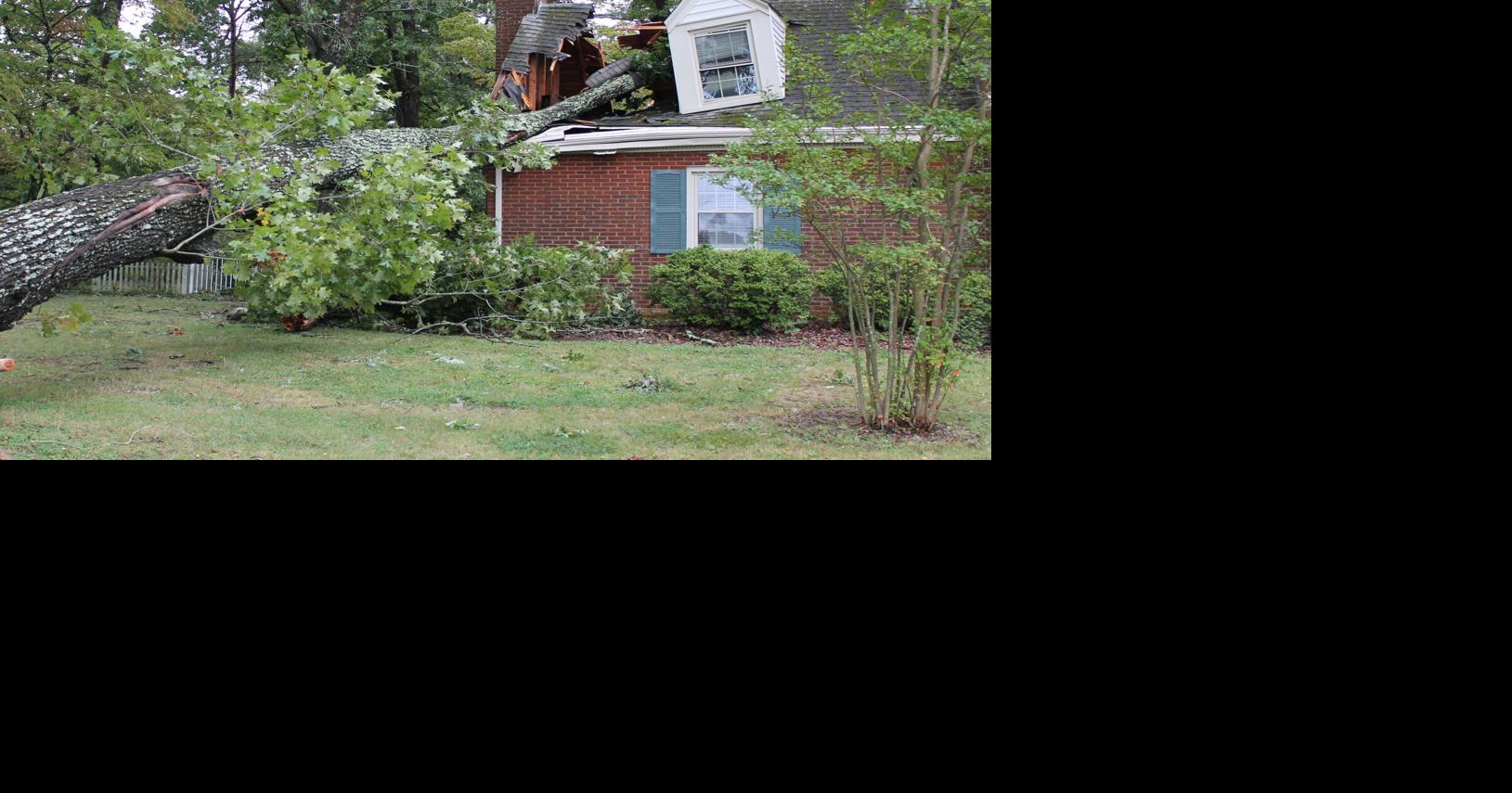Remnants of hurricane rip through Halifax County, leaving downed trees ...