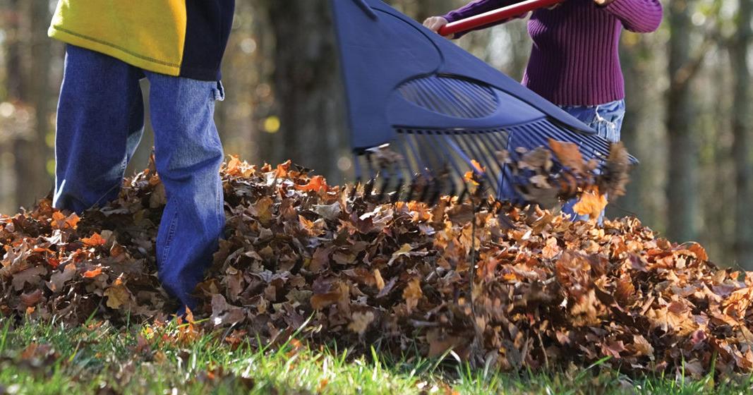 South Boston leaf collection begins Monday | Local News | yourgv.com