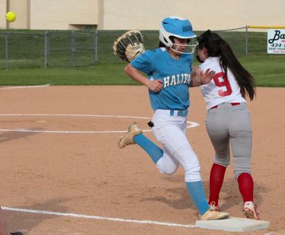 Comets JV softball team shuts out Bassett, Tunstall | Prep Sports ...