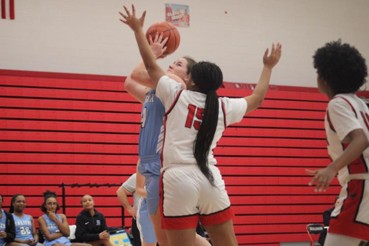 Mecklenburg County holds on for close win against Halifax County | Prep ...