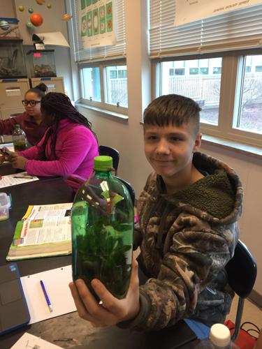 PHOTOS: Seventh grade life science students create terrariums ...