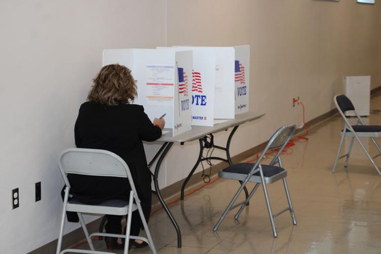 Convenience cited as Halifax County voters head to polls early | Local ...