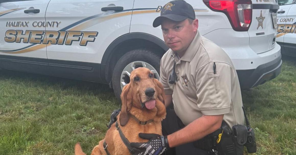 For second time in about a week, Halifax County Sheriff’s Office K-9 ...