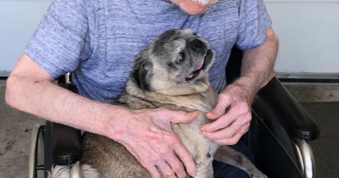 Melvin Malcolm Cole | Obituaries | yourgv.com