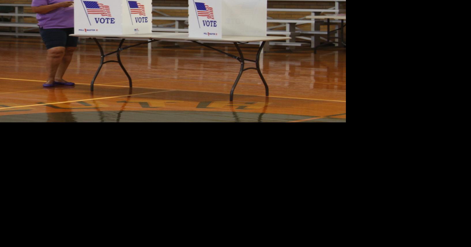 Halifax County voter turnout light in Democratic primary election ...