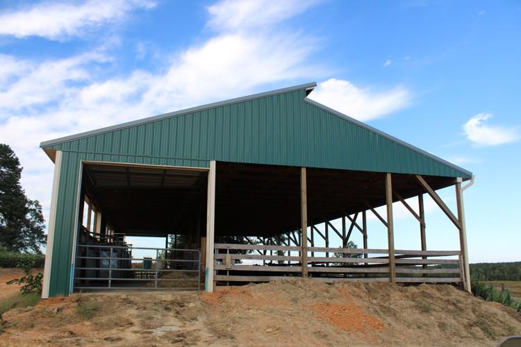 New cattle feeding program aims to enhance Halifax County’s livestock industry | Local News ...
