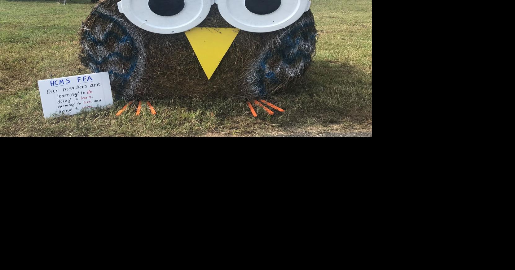 Hay Bale Decorating Contest back at county fair | County Life | yourgv.com