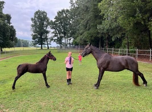 Halifax County daughter, mother place in international horse ...