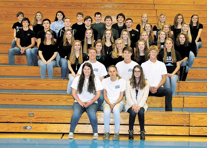 Comets swimmers looking to compete at conference level | Prep Sports ...