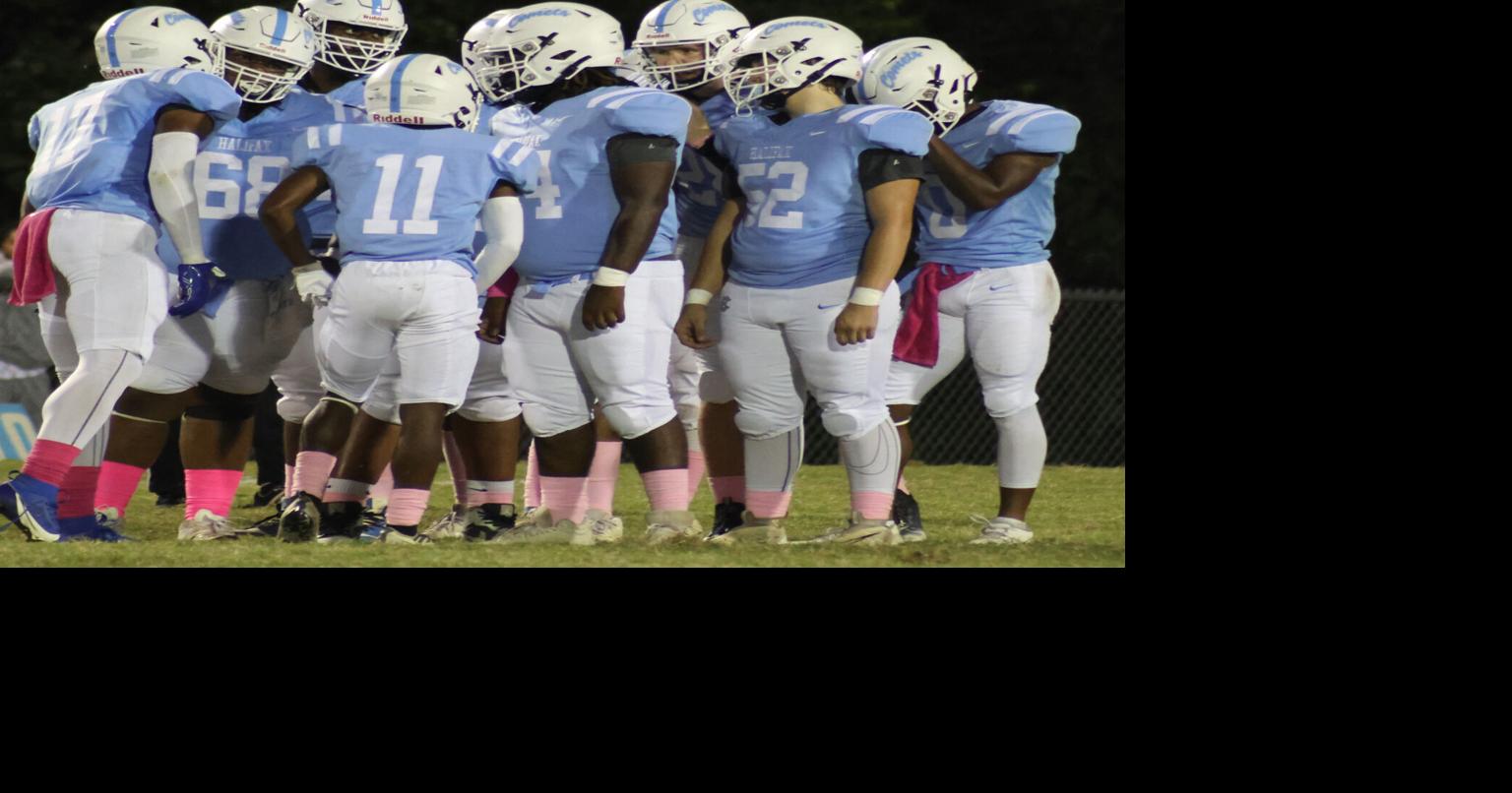 Ahead of final game of season for Comets, interim coach looks back ...