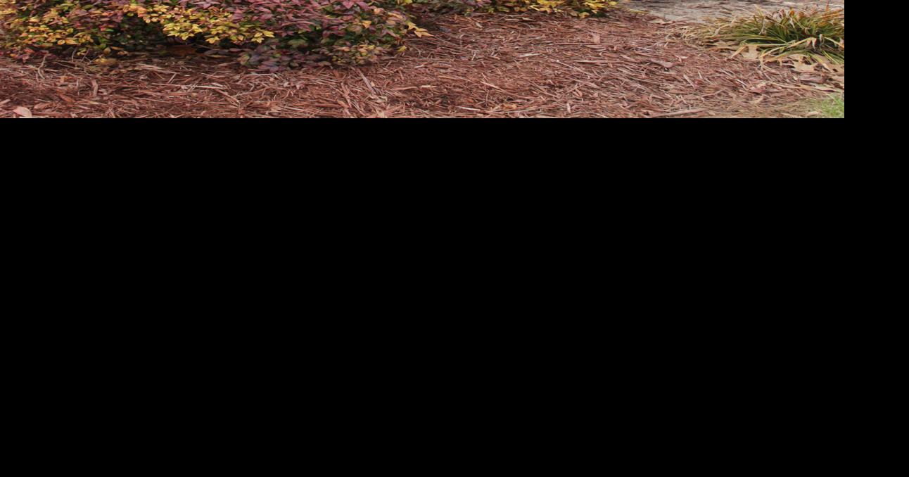 Driver charged with disregarding stop sign in wreck | Local News ...