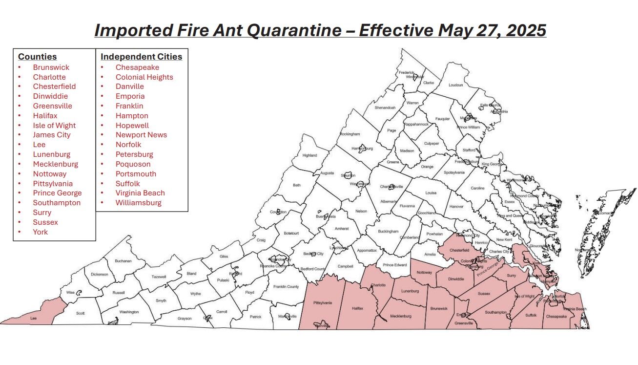 Virginia's imported fire ant quarantine expanded | State | yourgv.com