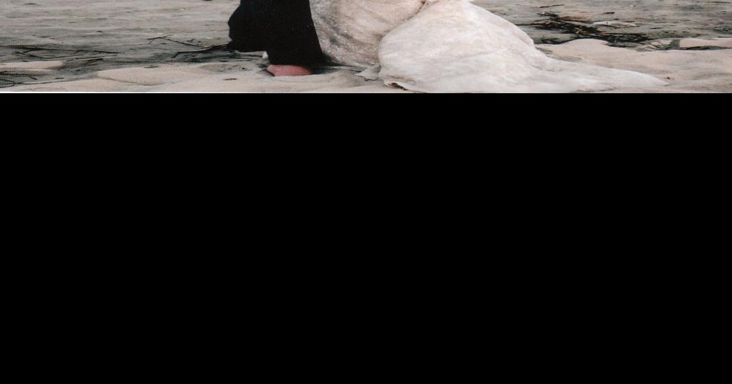 Rachel Dawn Spoon, Dustin Kurt Snead share vows | Celebrations | yourgv.com