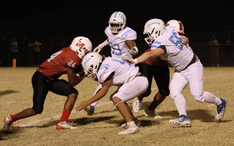 Comets end season with win | Prep Sports | yourgv.com