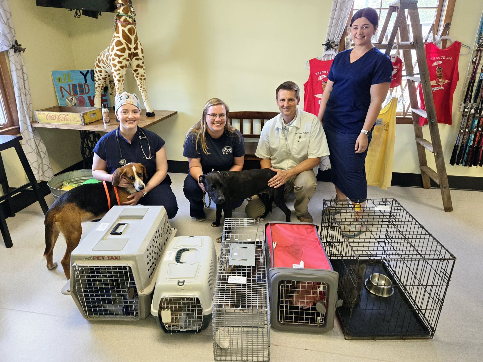 Group provides low-cost spay, neuter services to shelter animals, feral ...