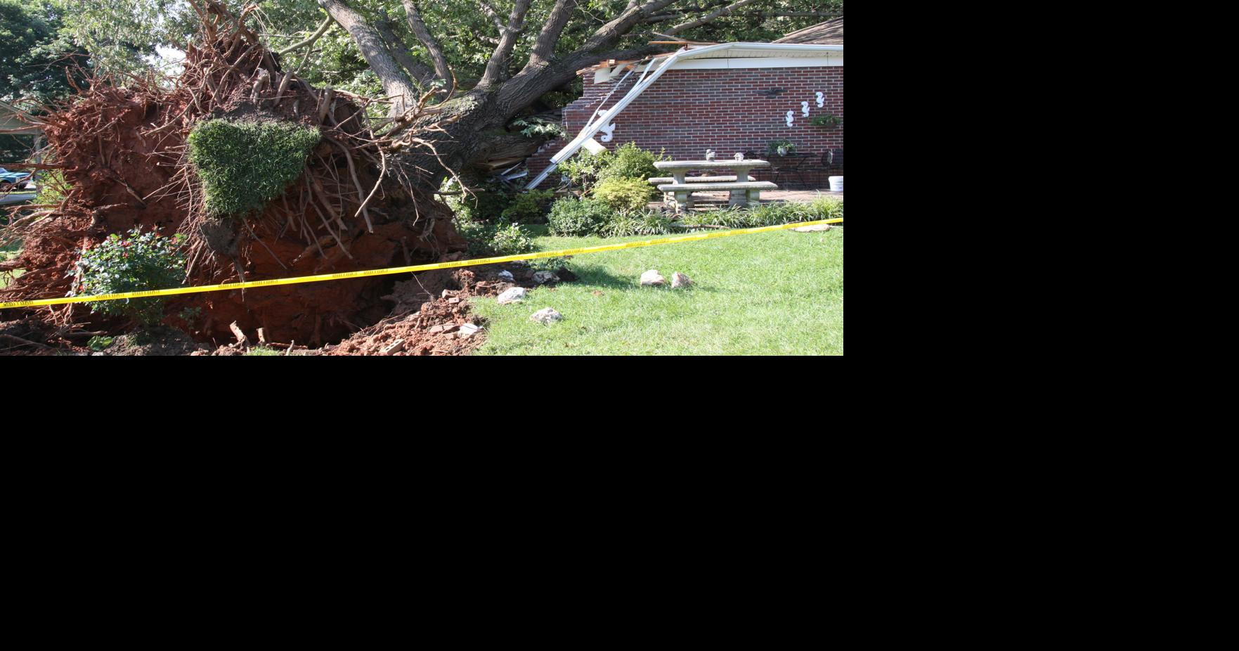 PHOTOS: Trees fall victim to Friday storm | Local News | yourgv.com