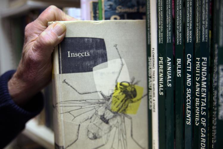 Bill McCaleb lauded by Virginia Master Gardener Association as ...