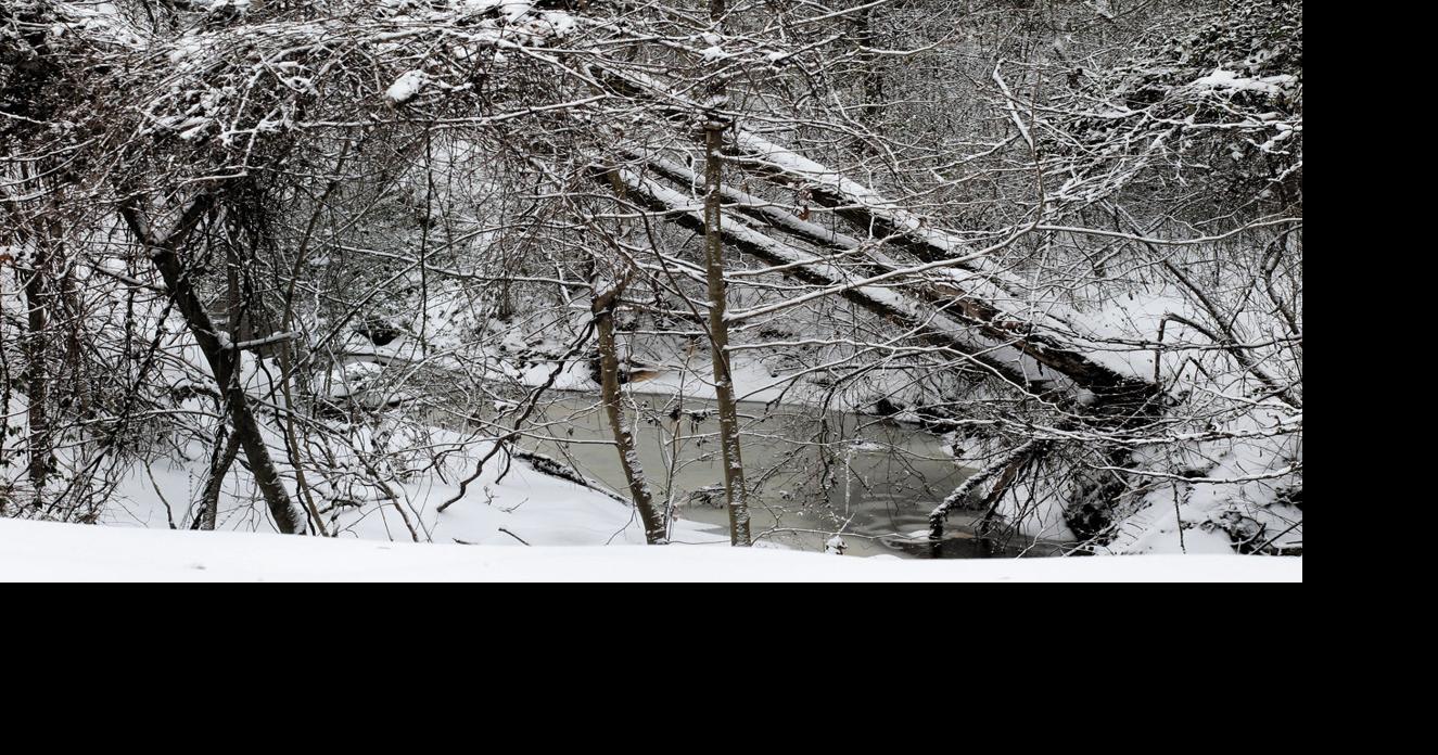No shadow for Punxsutawney Phil: Early spring on the way? | Local News ...