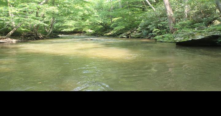 Dan River Basin Association to paddle on upper Dan | Lifestyles ...