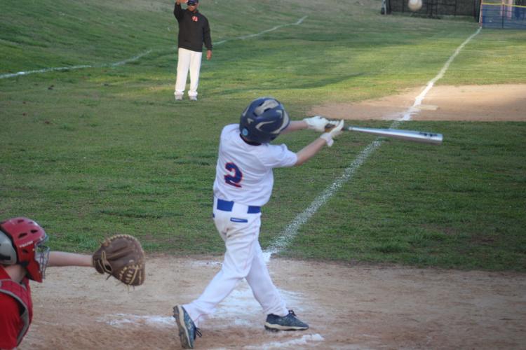 Lions boys sweep Martinsville in district doubleheader | Prep Sports ...