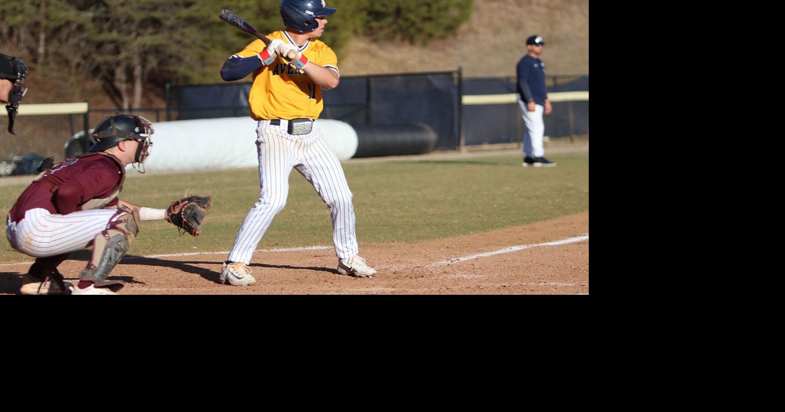 Former Halifax County standouts leaving impacts on Averett’s baseball ...