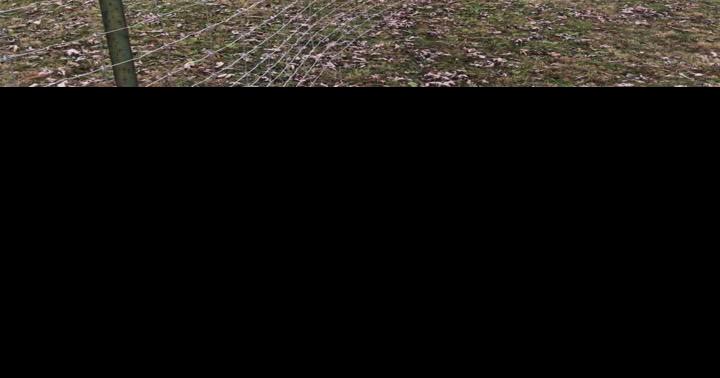 Live Nativity set at Beth Car Baptist | Religion | yourgv.com