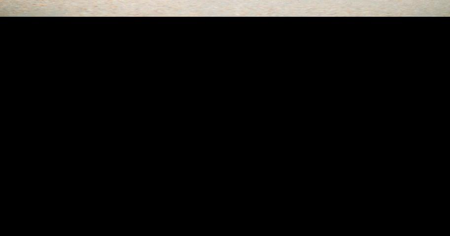 Laura Beth Jones, Dr. Maxwell James Todoroff plan April 20 wedding ...