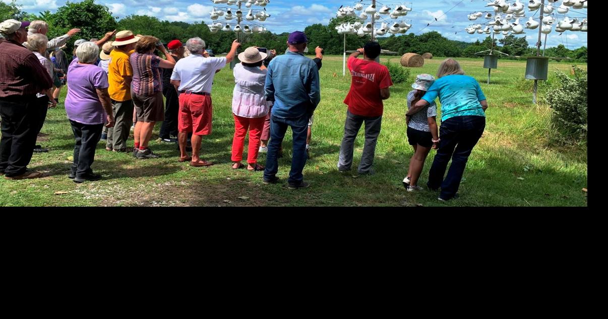 Purple Martin Field Day returns Saturday | Local News | yourgv.com